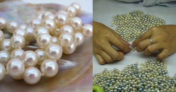The Pearl Test: 7 Expert Methods to Ensure Your Pearls Are the Real Deal