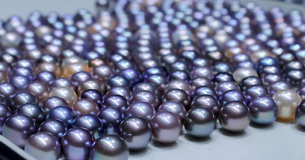 A Quick Guide to Choosing the Perfect Pearl Color
