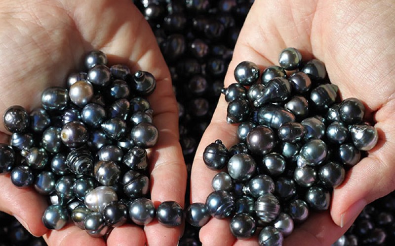 How to Identify Real Pearls