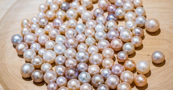 Freshwater Pearl Basics