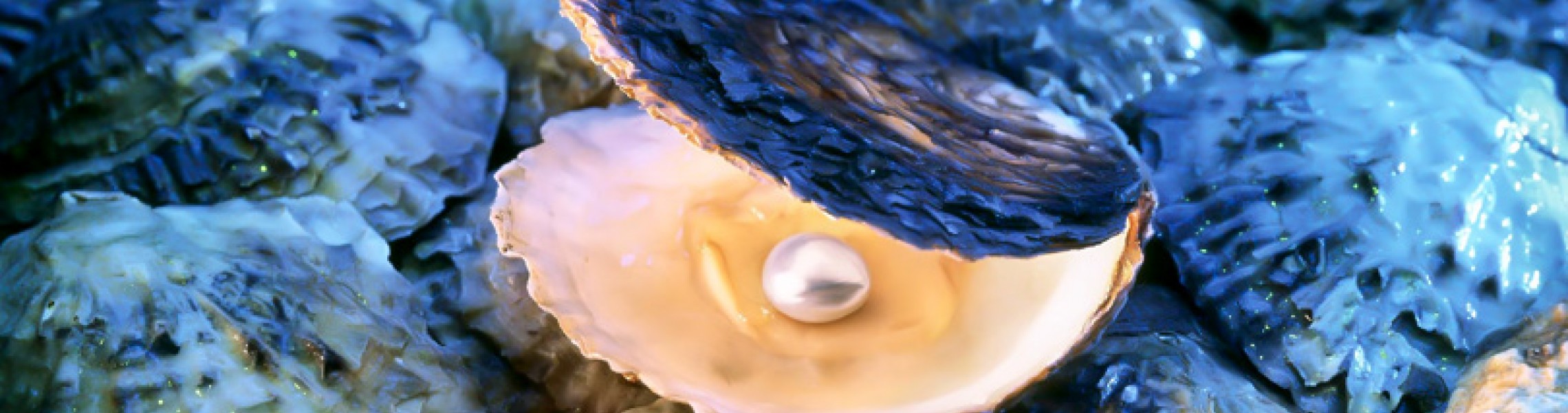 Unveiling the Mysteries: Exploring the Origins and Source of Pearls