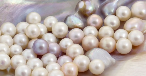 How Much Are Freshwater Pearls Worth: The Definitive Guide to Value