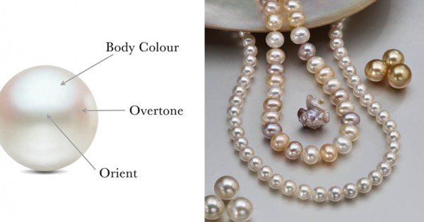 The Ultimate Guide to Pearl Pricing: How Much Do Pearls Cost?