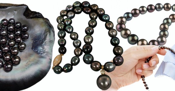 Lustrous Gems of the Pacific: A Complete Guide to Caring for Tahitian ...