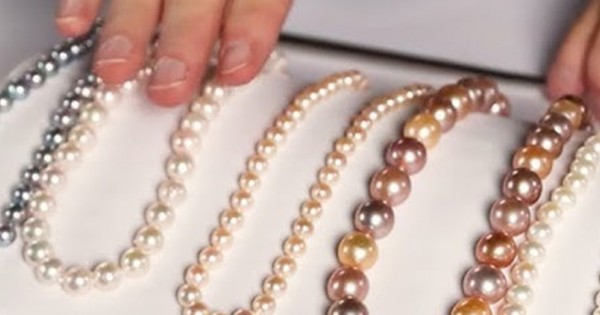 How to Buy Pearls: Types, Quality, and Price Explained