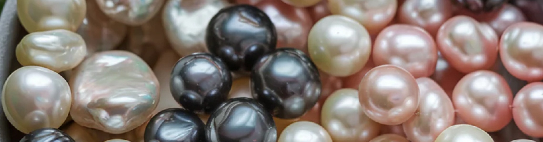 What Are the Types of Pearls? Differences and Characteristics Explained