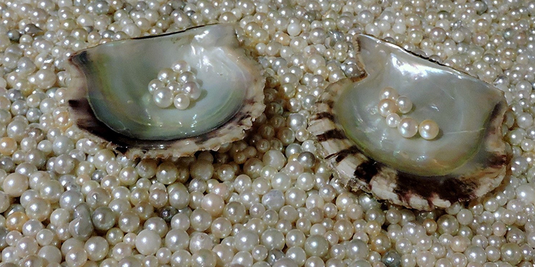 The Ultimate Guide to Exquisite Freshwater Pearls: Unveiling the ...