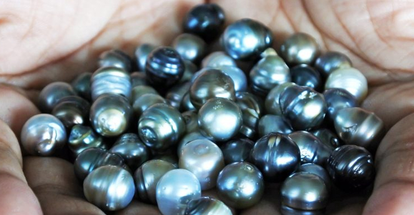 How Much Do Pearls Cost? The Ultimate Pearl Value Guide