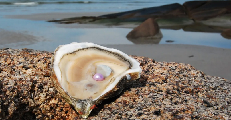 How Much Do Pearls Cost? The Ultimate Pearl Value Guide