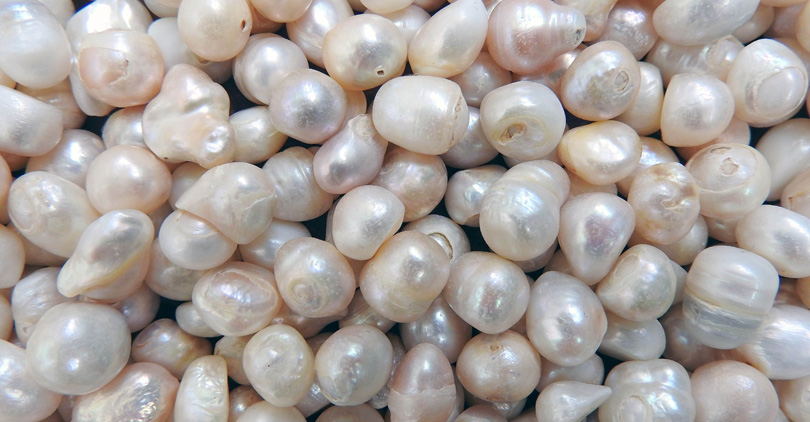 How Much Do Pearls Cost? The Ultimate Pearl Value Guide