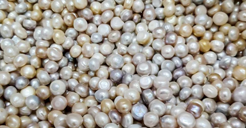 Freshwater Pearl Colors: Quick Guide With Overtones