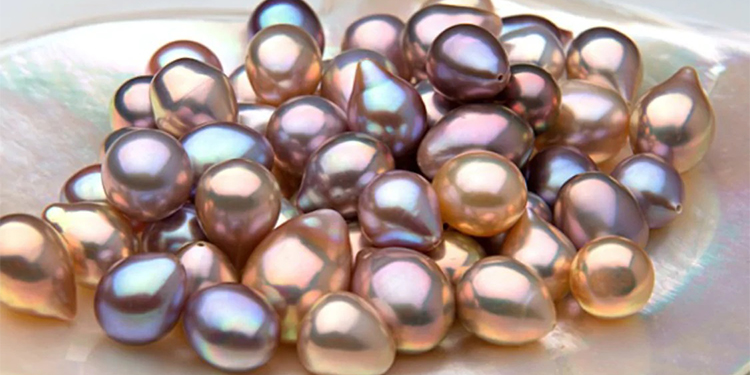 Sea Pearls vs Freshwater Pearls