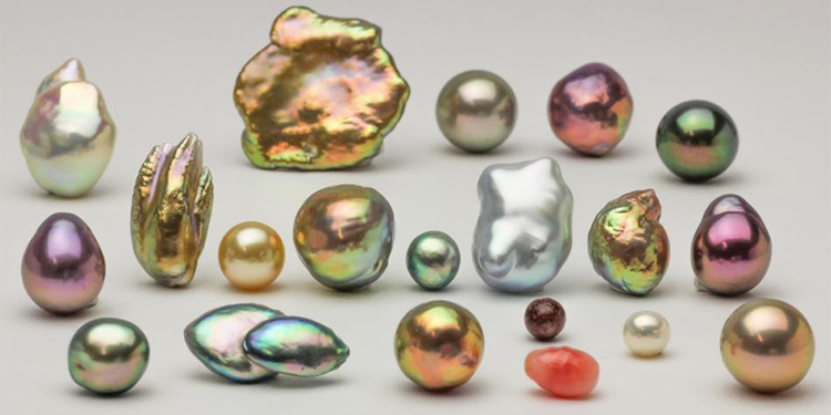 Exploring the Distinctions: Nucleated vs. Non-nucleated Pearls
