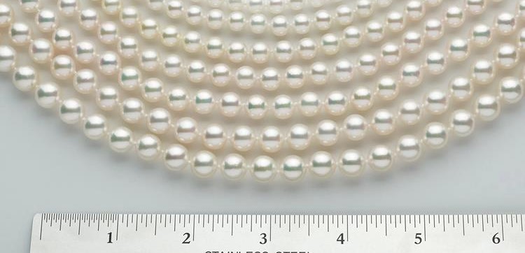 Are Akoya Pearls The Best? A Complete Guide on Akoya Pearls