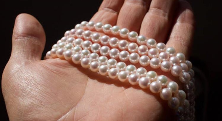 Are Akoya Pearls The Best? A Complete Guide on Akoya Pearls