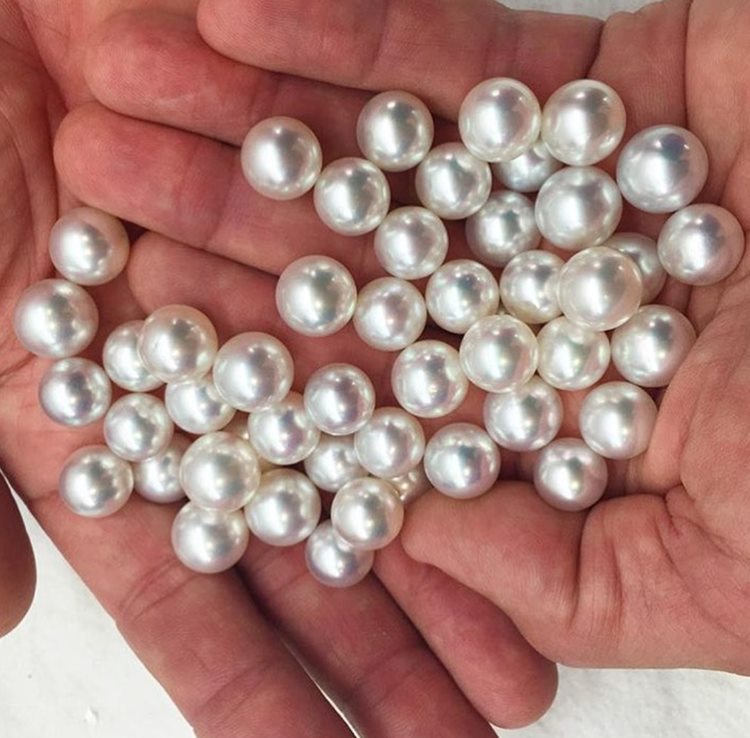 Akoya Vs. South Sea Pearls - Which is Right For You?