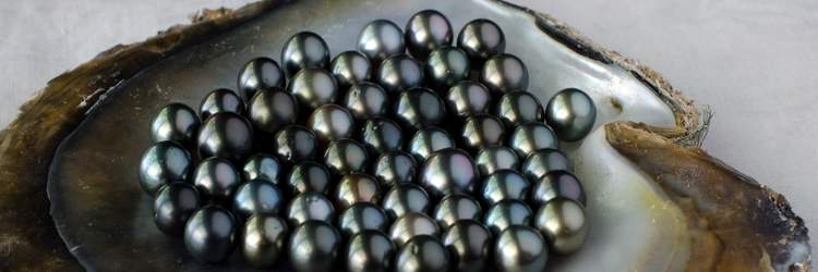 What are Black Pearls? How to Wear Black Pearls？