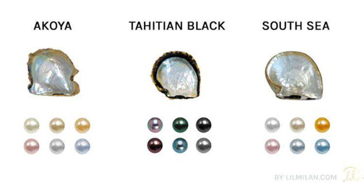 Freshwater Pearls 101: A Comprehensive Buying Guide