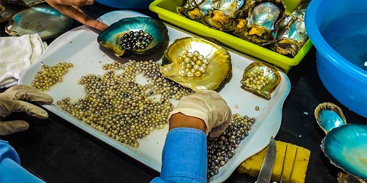 Is Cultured Pearl Real Pearl: A Quick Guide To Tell