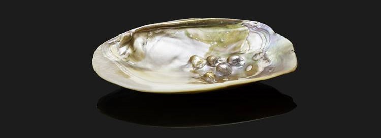 What is Mother of Pearl? Everything You Need to Know