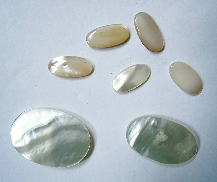 What is Mother of Pearl? Everything You Need to Know