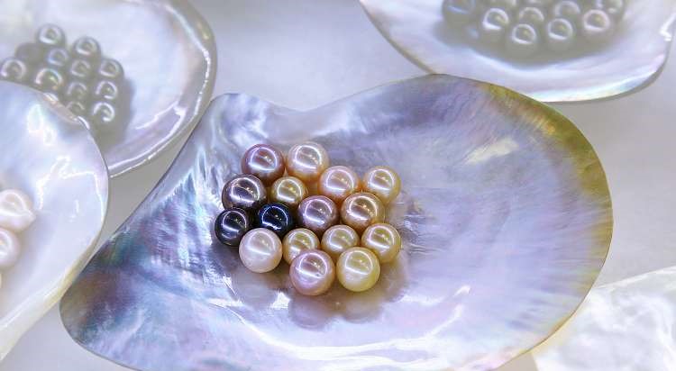 How Much Are Pearls Worth? A Quick Guide To Real Pearl Pricing