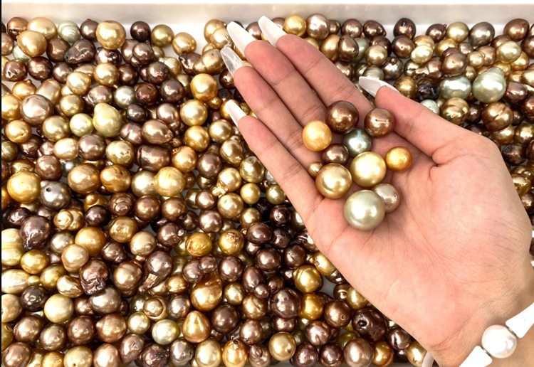 South Sea Pearls Guide: What Are They & Why Are They So Expensive