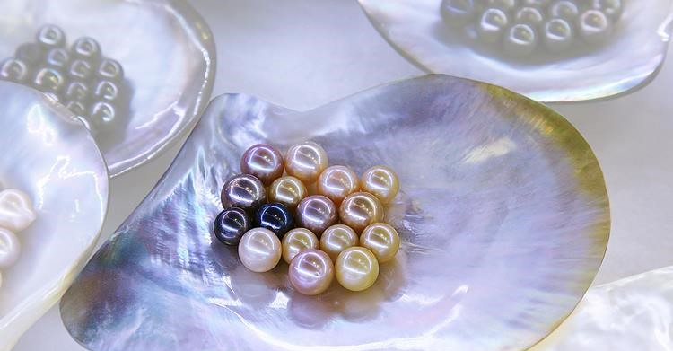 What Is a Pearl? Why Is Pearl So Precious?