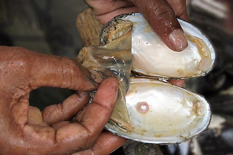 Do Real Pearls Peel? How To Avoid Damaging Your Pearls?