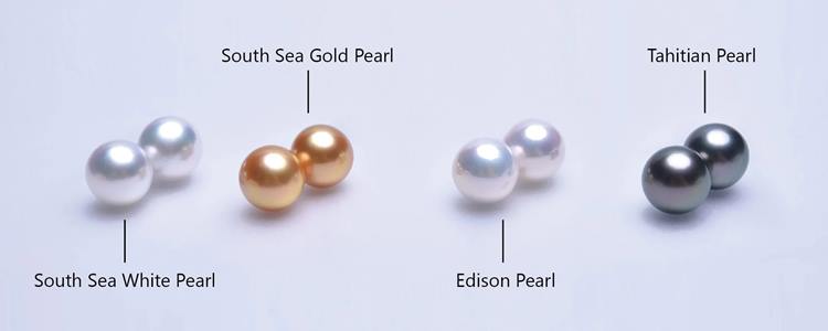 What Is a Pearl? Why Is Pearl So Precious?