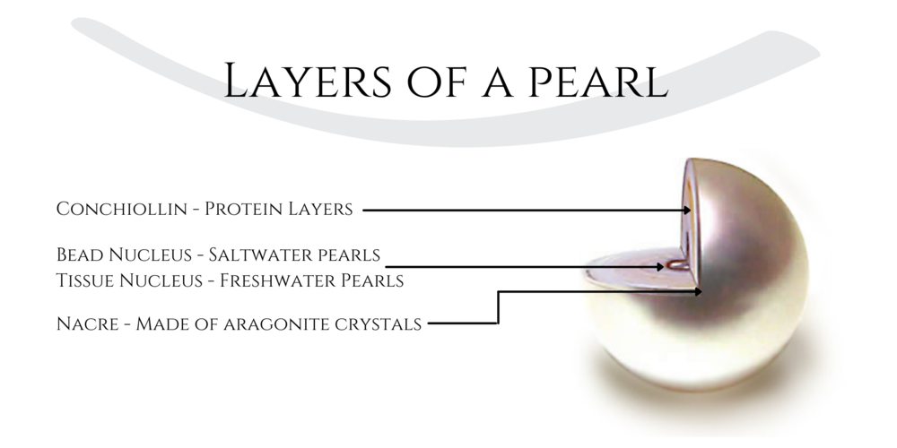 What Is Nacre? How Does It Impact The Value of Pearls?